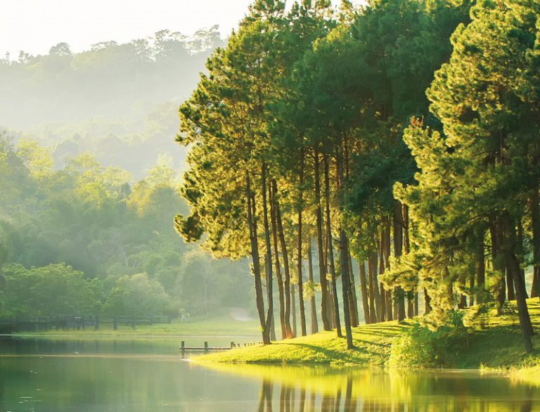 Selected results of reported River Basin Management Plans in the Czech ...