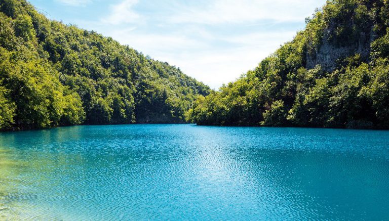 Changes in chemistry and biology of the mesotrophic water reservoir ...